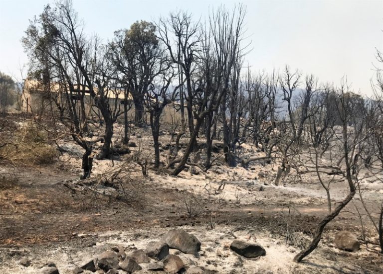 At least 65 killed in Algerian wildfires | The Jim Bakker Show